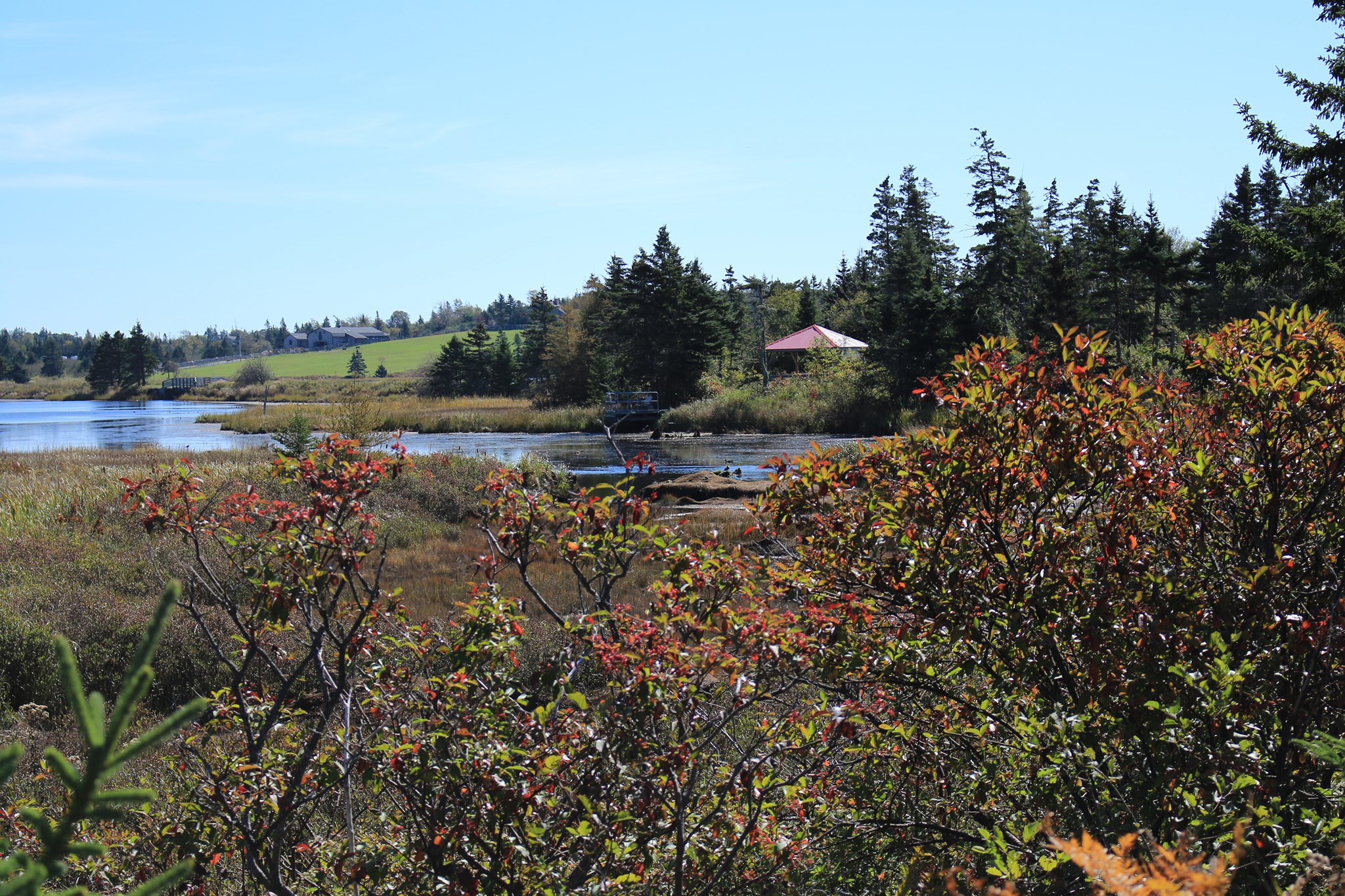 Walk and Information Session with Dr. Sean Haughian - NS Trails